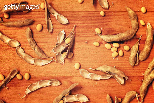 Soybean pods and beans on wooden desk, agriculture and farming of ...