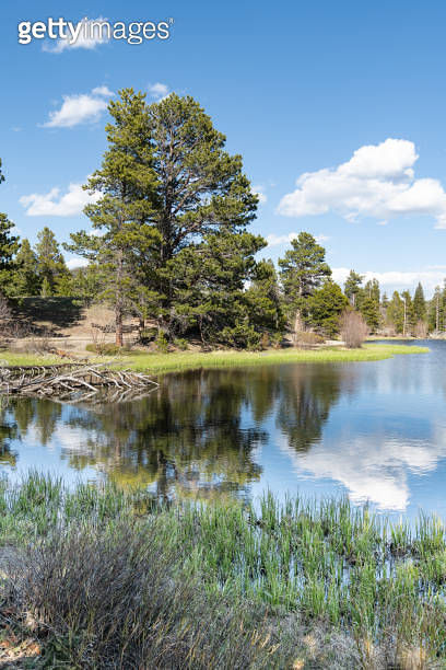 Sprague Lake with tree reflections in Rocky Mountain National Park ...