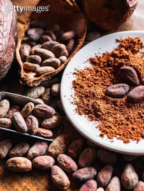Close-up of Natural cocoa powder with brown cocoa beans and dry cacao ...