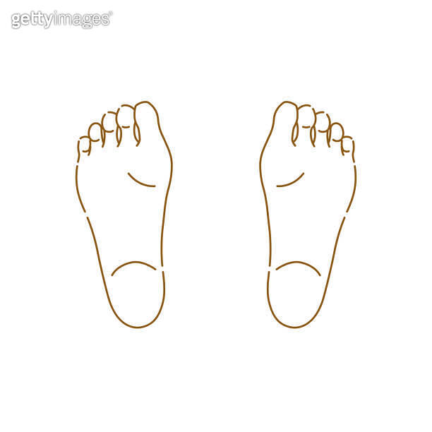 Female feet: illustration of soles of feet (both feet) 이미지 (2162362029 ...