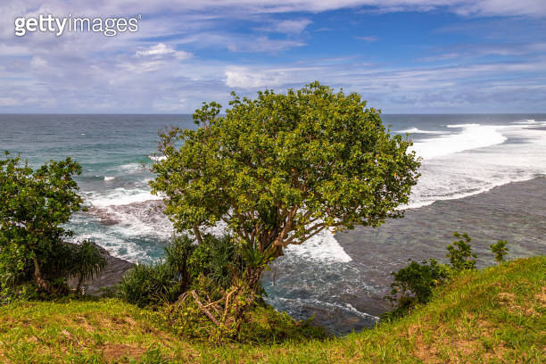 Samoa Amazing Natural wonder in the South Coast 이미지 (2162701260) - 게티이미지뱅크