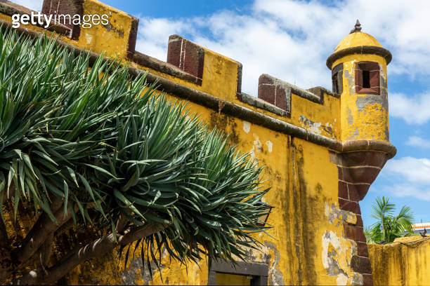 Sao Tiago fort, colorful yellow fortress in Funchal, Madeira island ...