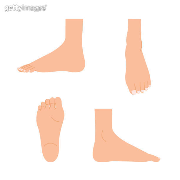 Women's feet: foot body parts set (sole, top, side) 이미지 (2162474730 ...