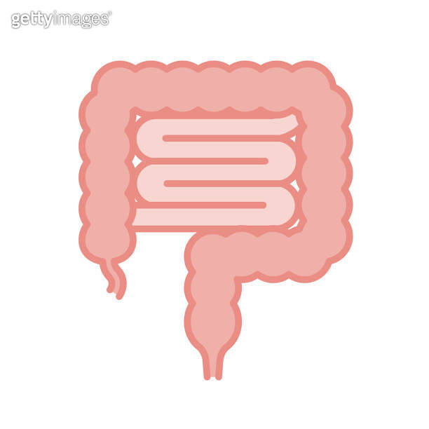 Simple and cute intestine line drawing icon (2157540415) - 게티이미지뱅크