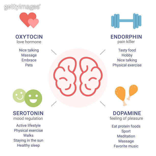 Scheme of happiness hormones oxytocin, serotonin, dopamine, endorphin ...
