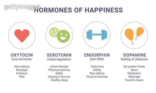 Scheme of happiness hormones icons of oxytocin, serotonin, dopamine ...
