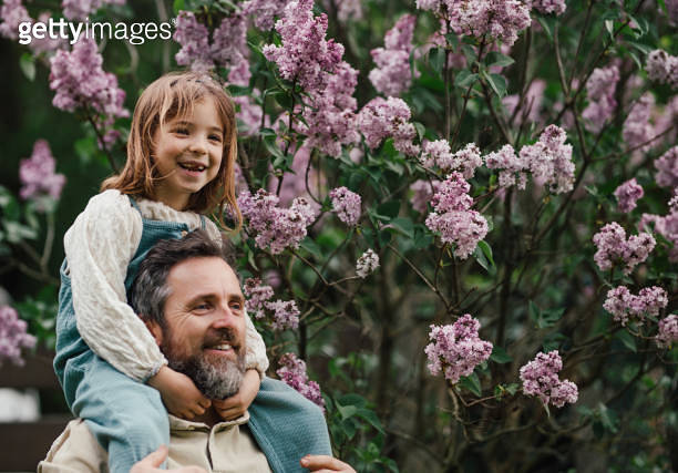 Dad having fun with young daughter, carry her on shoulders, walking in ...