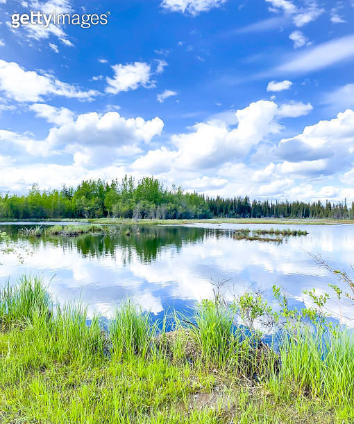 Alaska Lake With Cloud Reflection 이미지 (2011917404) - 게티이미지뱅크