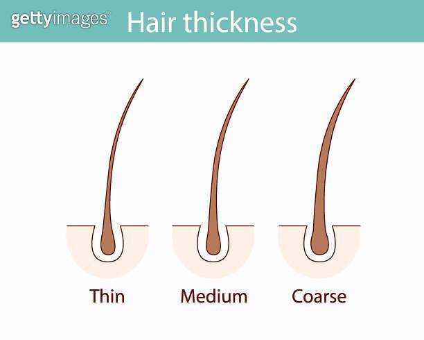 Classifications of hair thickness types. A section of leather with fine ...