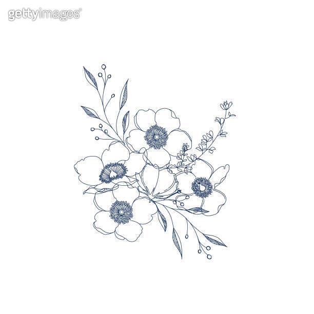 Line drawing illustration of a beautiful pretty blue flower. Line ...