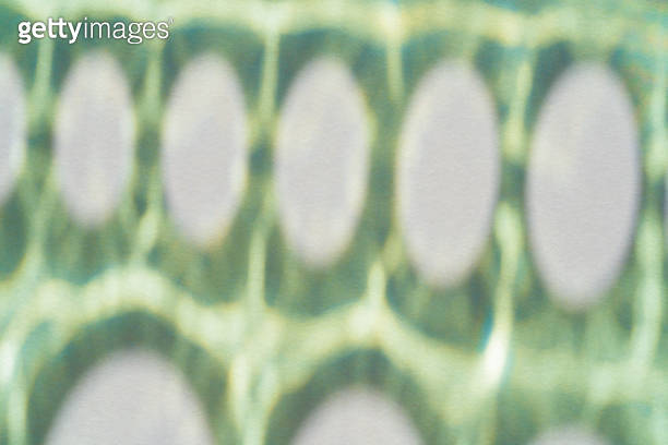 Abstract green water ripple texture overlay 이미지 (1952368388) - 게티이미지뱅크