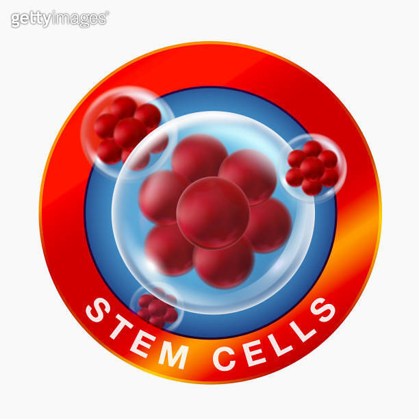 Stem cell symbol on sticker label 이미지 (2124388957) - 게티이미지뱅크