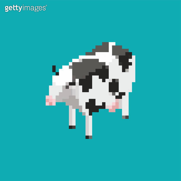 Cow pixel art. 8 bit farm animal. pixelated (1957380333) - 게티이미지뱅크