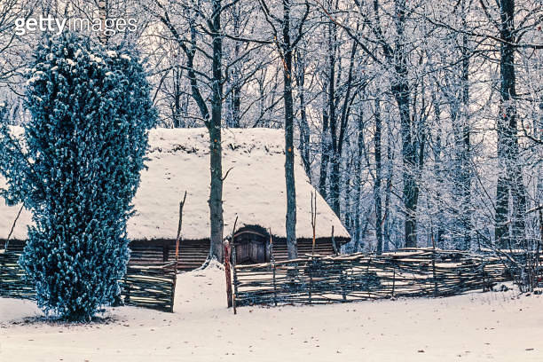 Longhouse in a forest with a fence of branches in winter (2189884226 ...