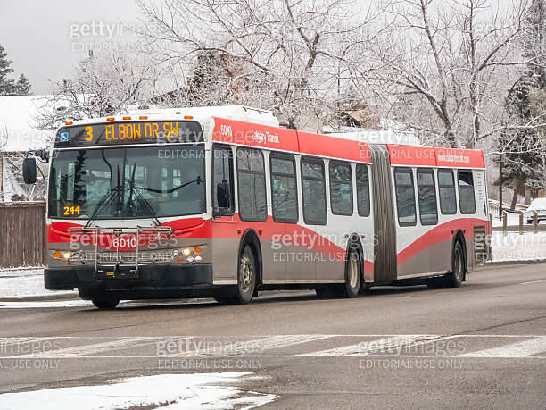 A Calgary Transit bus, route 3 Elbow Dr SW, is captured on a snowy day ...