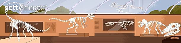 Interior of paleontology museum. Archaeological display of extinct ...
