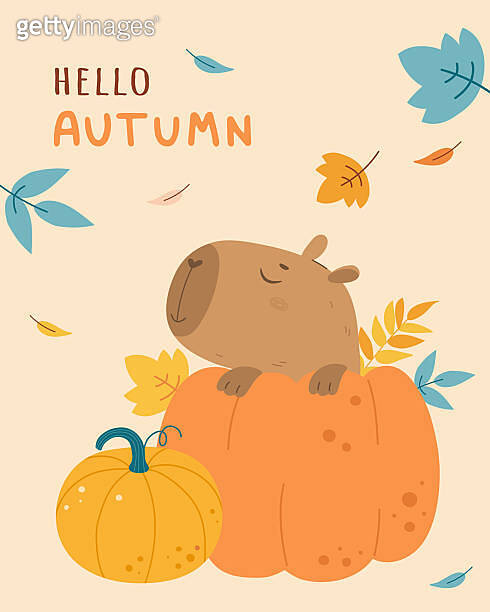 Autumn greeting card with capybara, pumpkins, leaves and lettering ...
