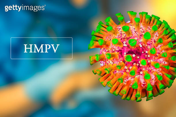 Human metapneumovirus (HMPV or hMPV) is a negative-sense single ...