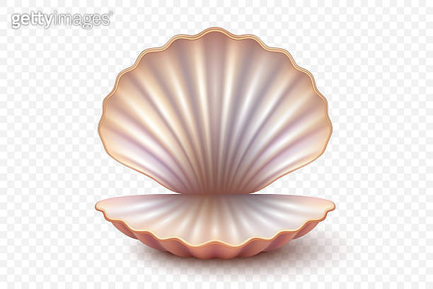Vector 3d Realistic Open Seashell with Pearlescent Shine. Isolated ...