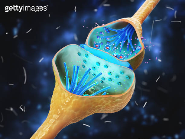 Neuron, nerve cell axon and myelin sheath substance that surrounds the ...