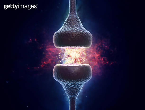 Neuron, nerve cell axon and myelin sheath substance that surrounds the ...