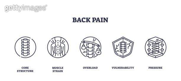Back pain icons outline showing spine, muscle strain, and pressure ...