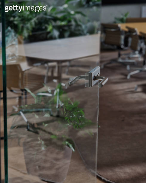 frameless glass door. glazed partitions have special hinges and handles ...