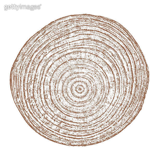 Wood texture cross section of tree rings (2206609382) 일러스트, 무료 일러스트 ...